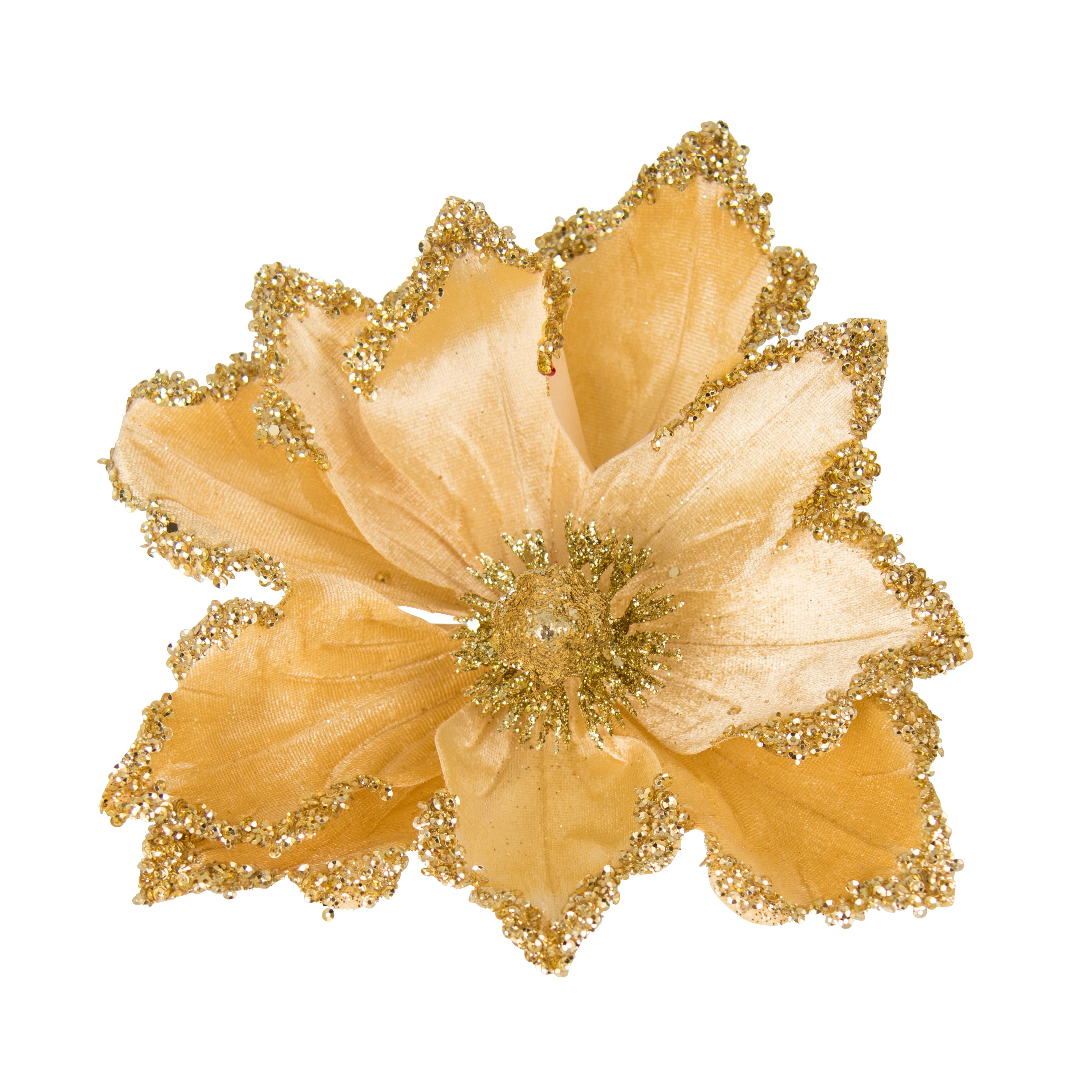 Clip On Magnolia Amber Gold Edge – Lima & Co